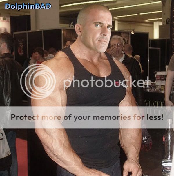 Muscles and Famous*** - Page 13 - The Evolution Forum